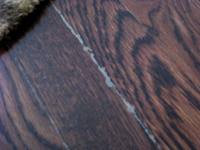 What is Really Causing White Line Syndrome? | Wood Floor Business