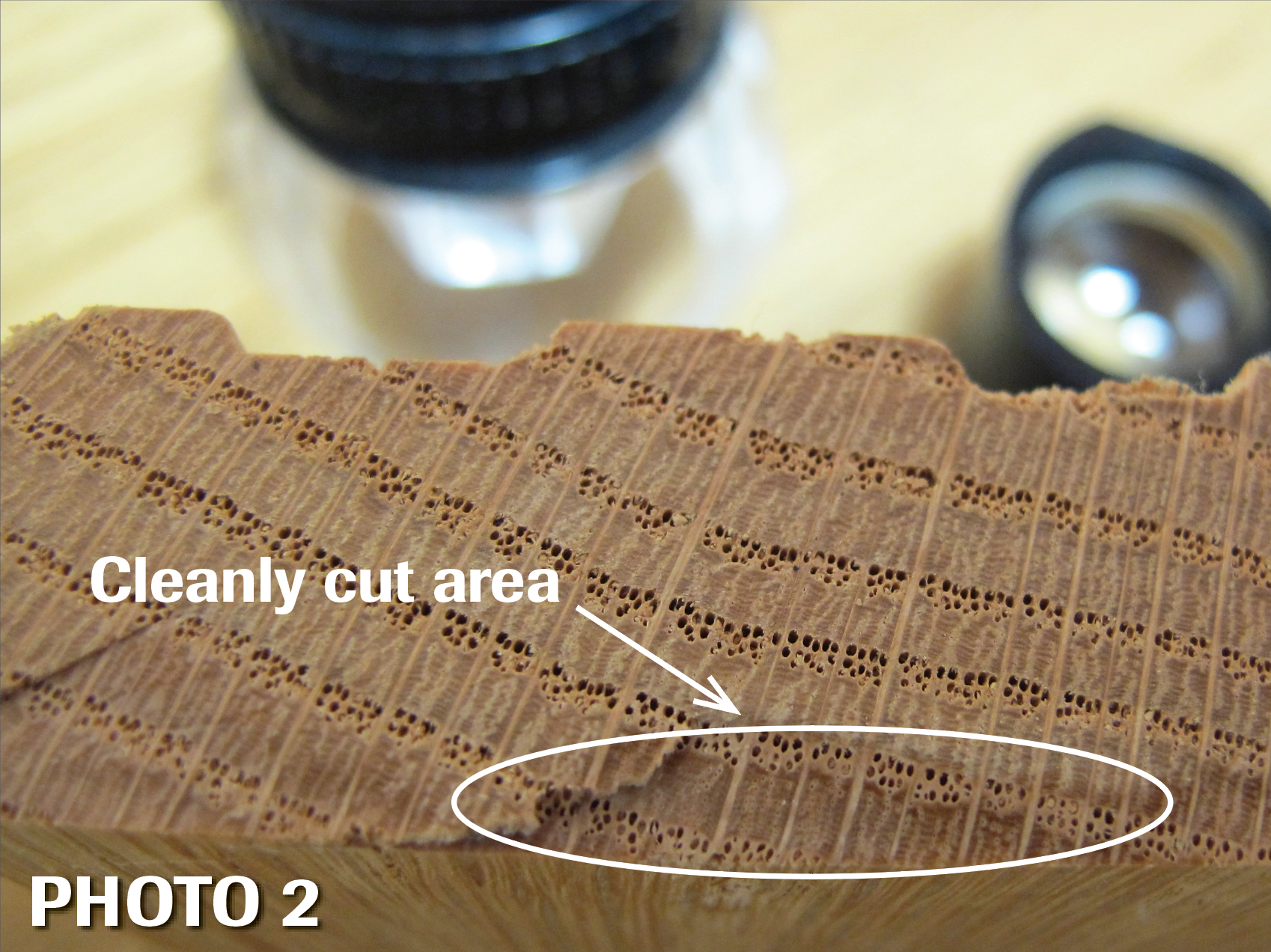 Red Oak vs. White Oak: Can You Tell the Difference? | Wood Floor Business