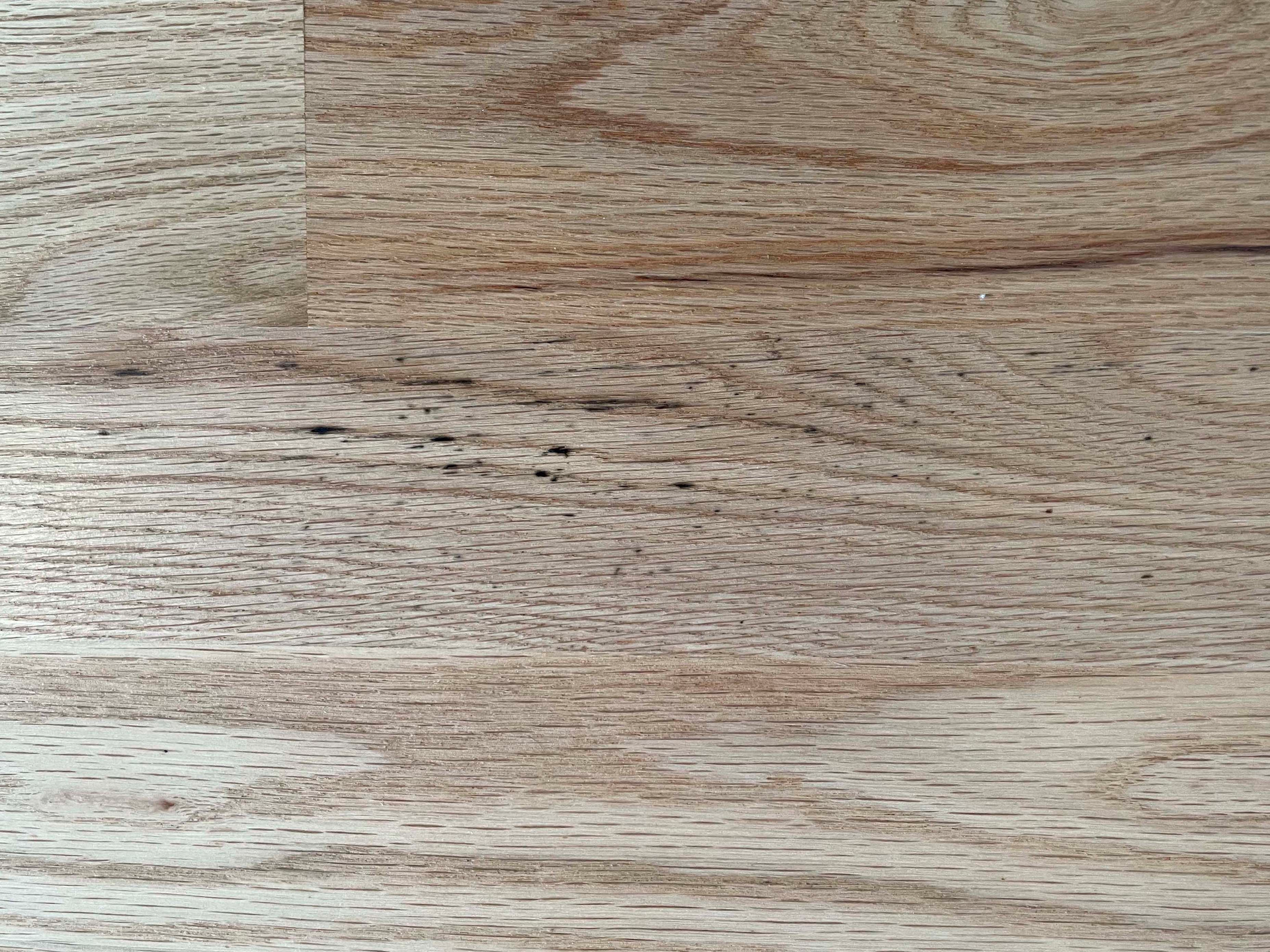 Wood Floor Mystery #13: These Black Spots Aren't Mold ... But What Are ...
