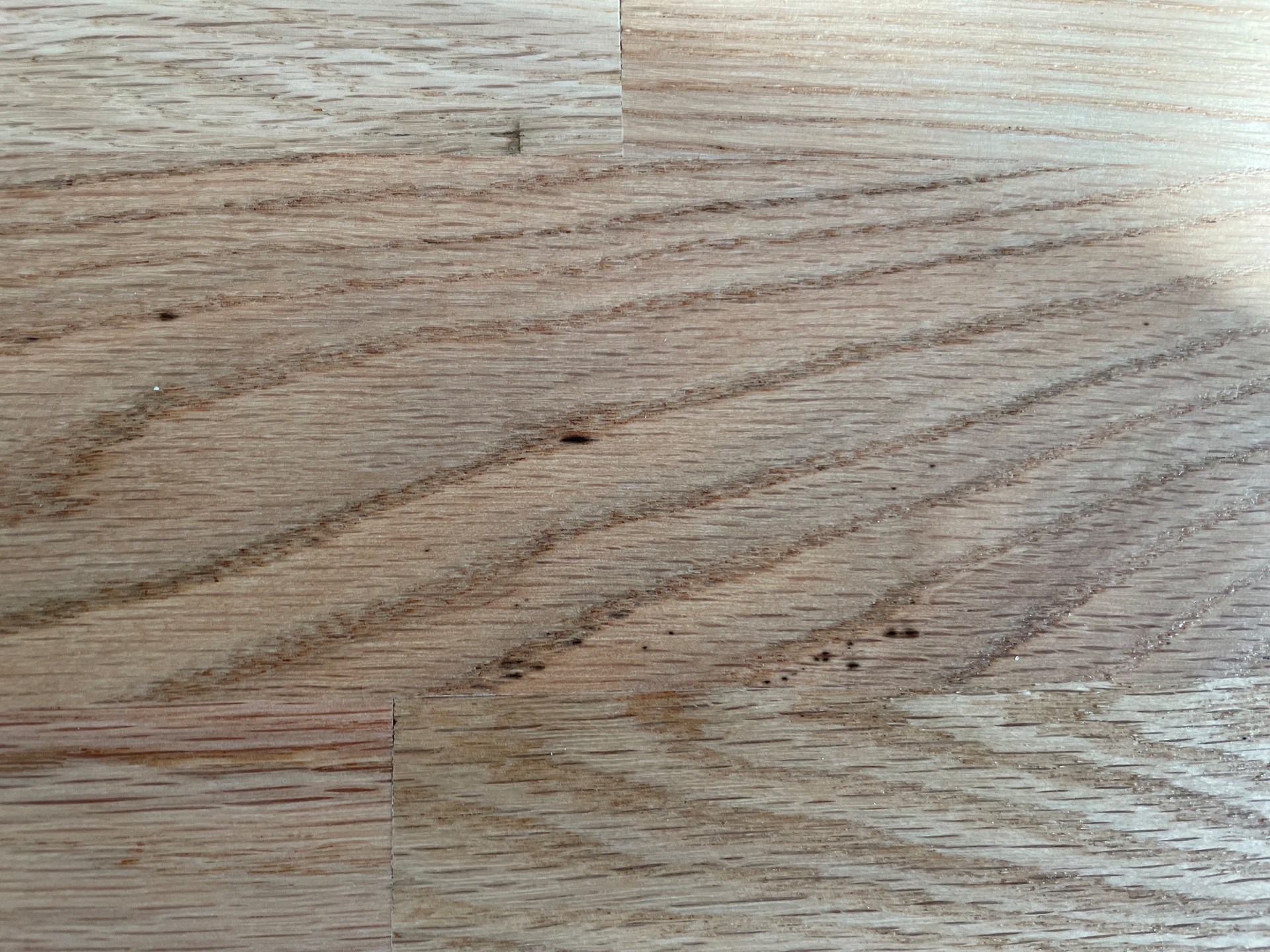 Wood Floor Mystery #13: These Black Spots Aren't Mold ... But What Are ...