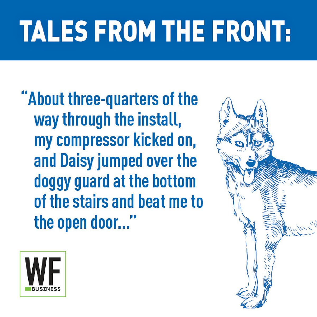 Tales from the Front: Wild Goose, Er, Dog Chase | Wood Floor Business