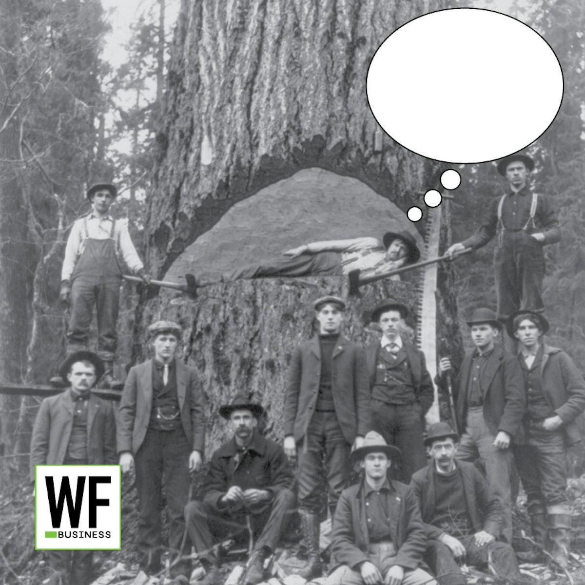 Wanted: Funny Captions For ‘Chilling Tree Feller’ Photo | Wood Floor ...