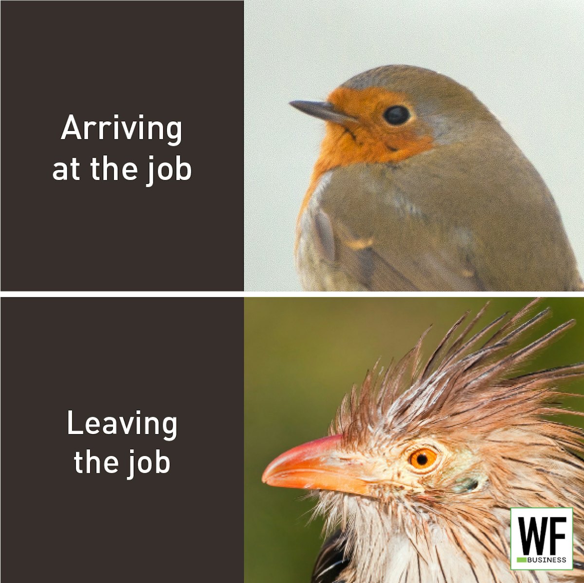 WFB Shareable 5.17.23 | Wood Floor Business