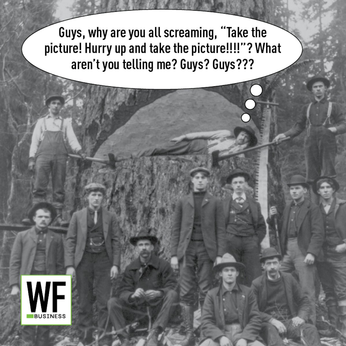 Funniest Caption For ‘Chilling Tree Feller’ Unveiled | Wood Floor Business