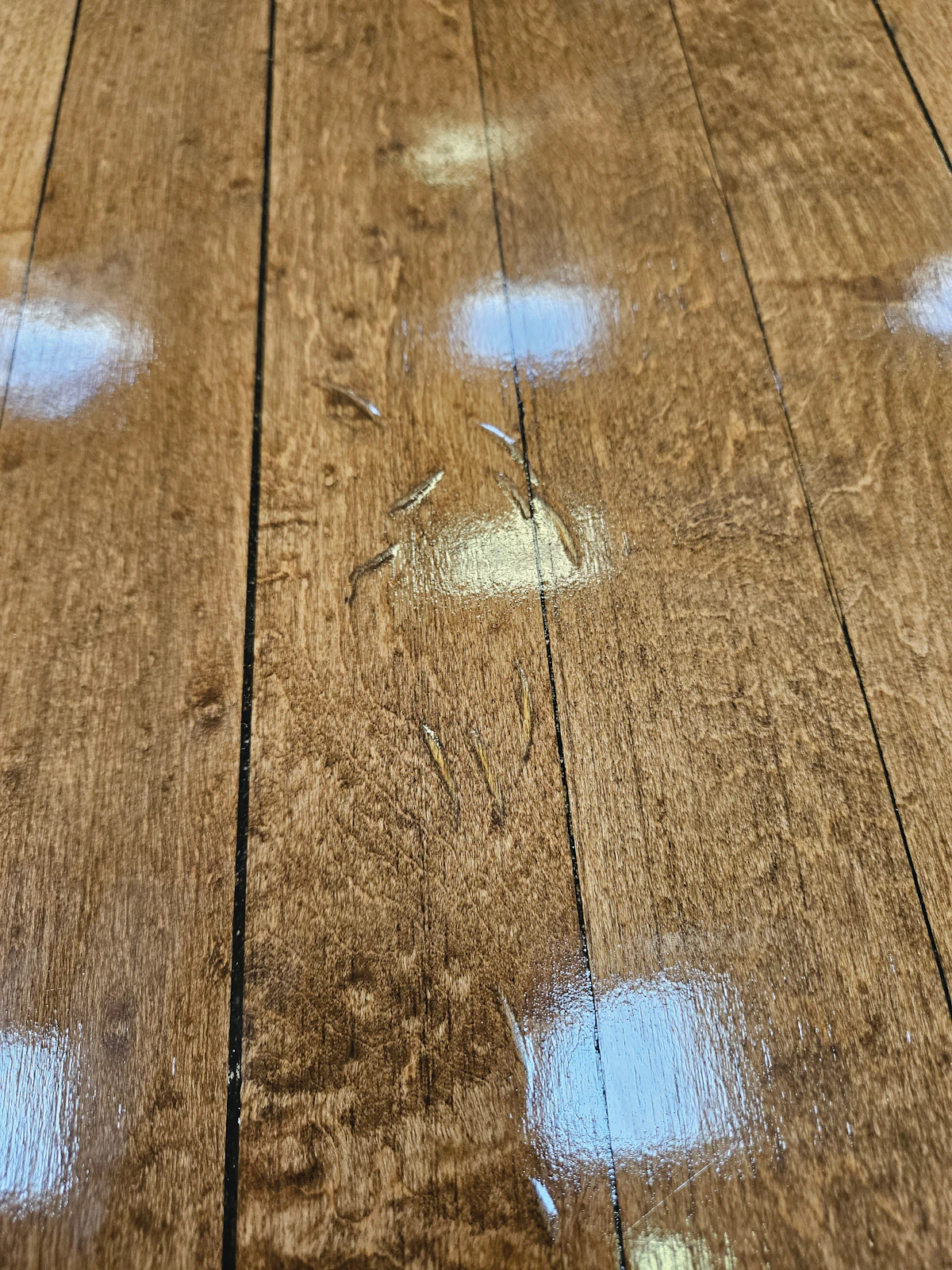 Q&A: What Are These Strange Raised Areas in this Wood Floor? | Wood ...
