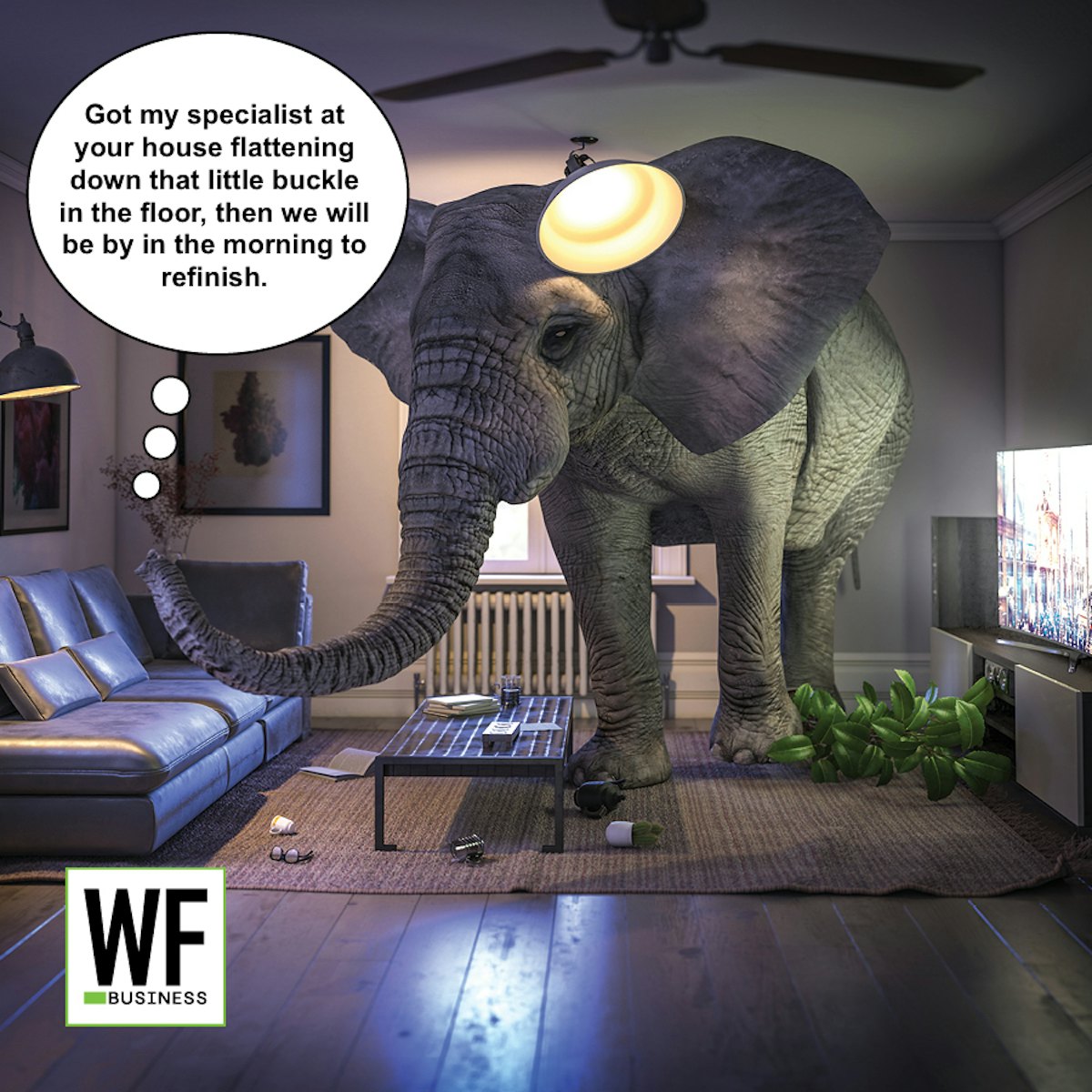 big elephant in the room