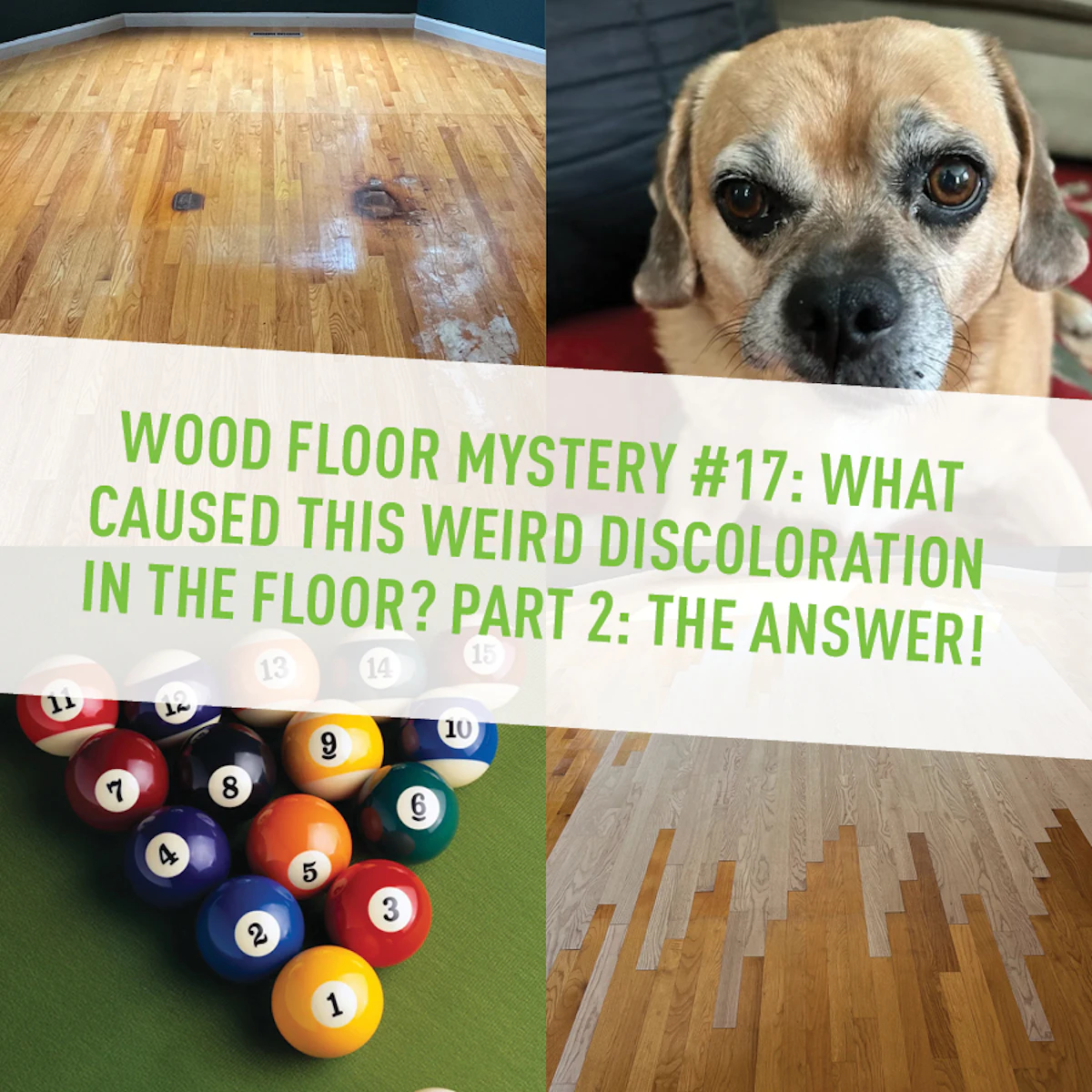 Wood Floor Mystery #17: What Caused This Weird Discoloration in the ...