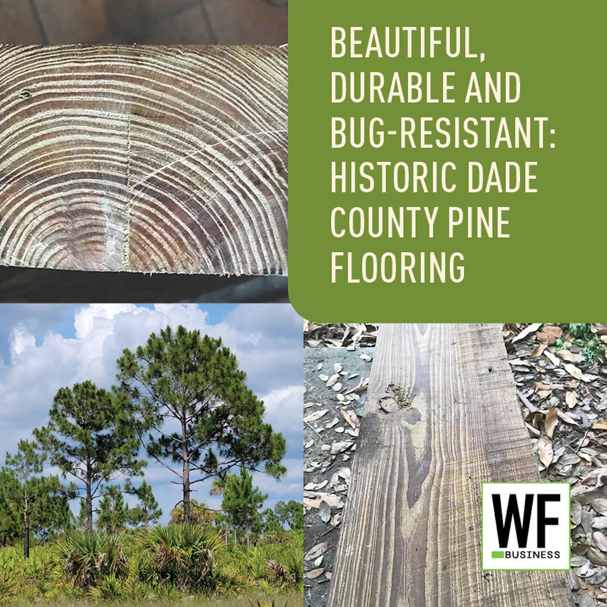 Beautiful, Durable and Bug-Resistant: Historic Dade County Pine ...